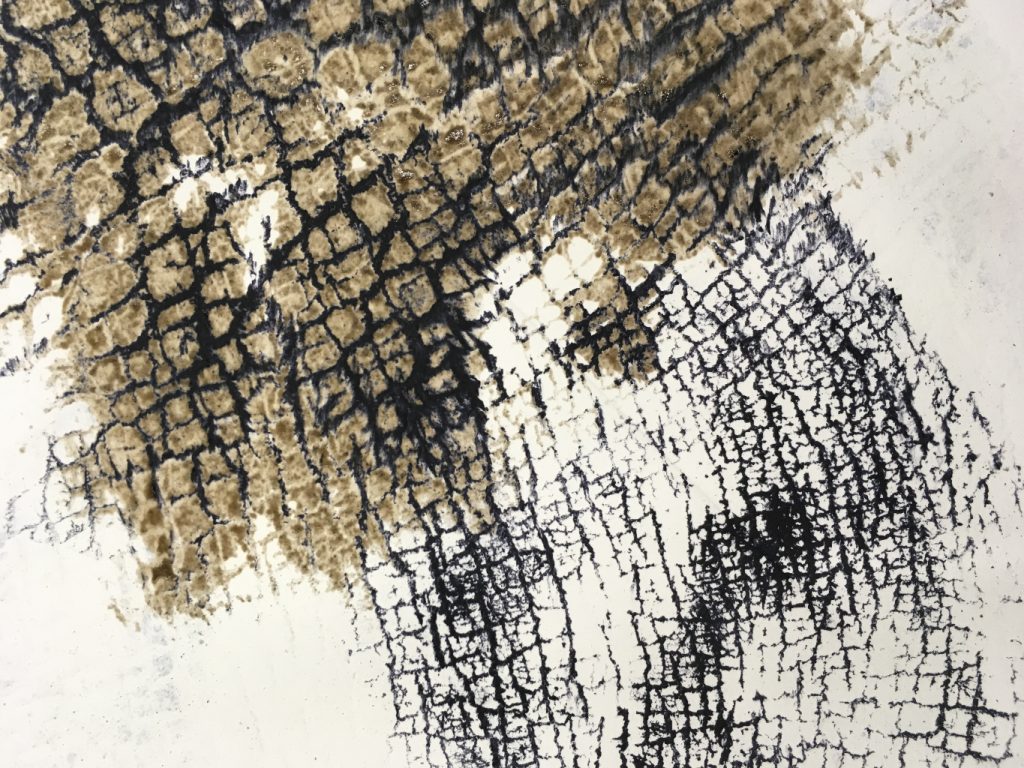 The Strand Gallery presents Crucial: Hilda Kleyn, Susan Proctor Hume ...