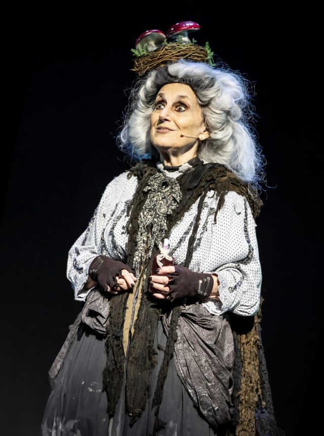 The Addams Family: The Musical Comedy at London Palladium | Theatre ...