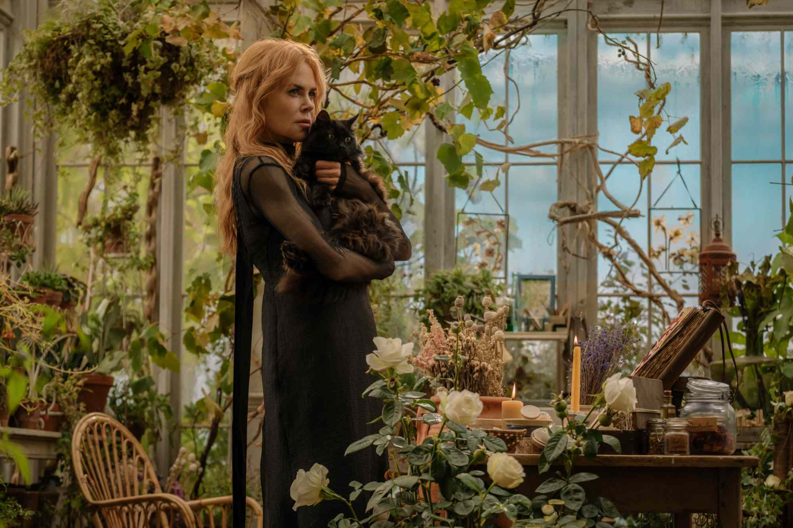 Sandra Bullock and Nicole Kidman reunite in first trailer for Practical ...