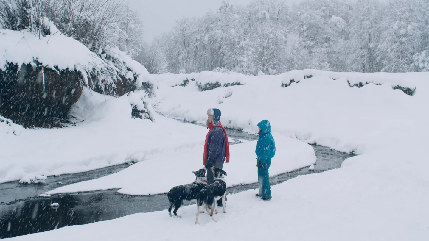 Cannes Film Festival 2026: The Meltdown | Review – The Upcoming