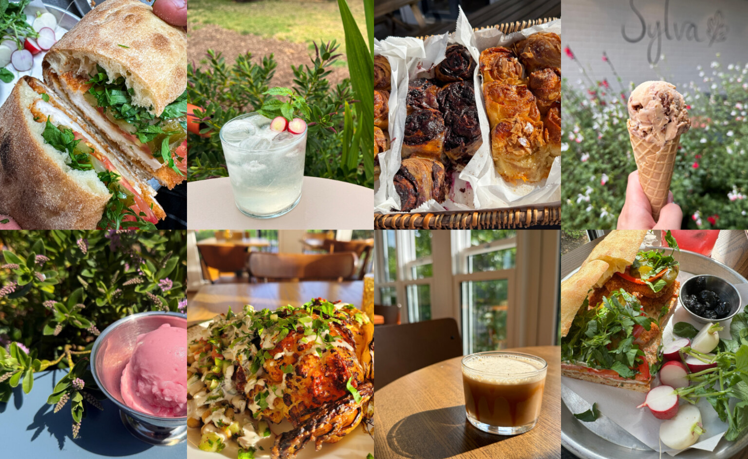 Deptford’s Sylva café offering cool respite and seasonal treats for ...
